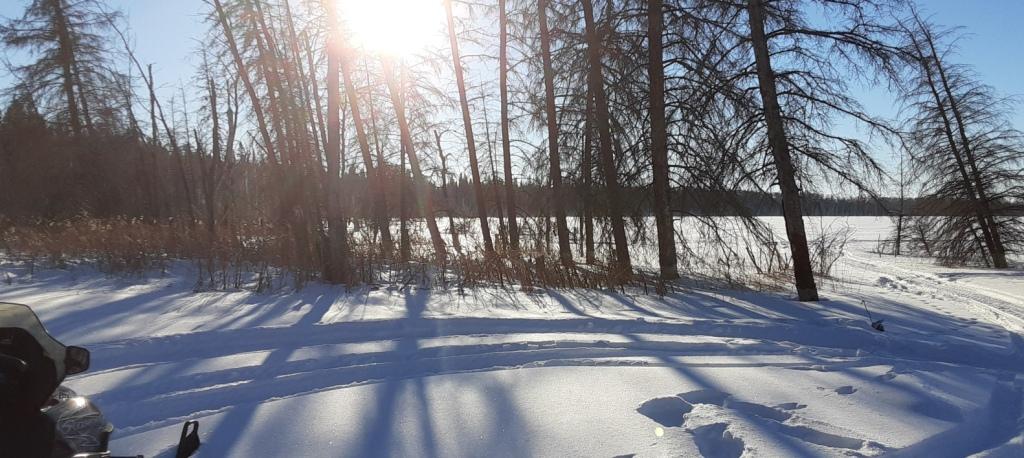 21-02 Nisbet Forest Remote